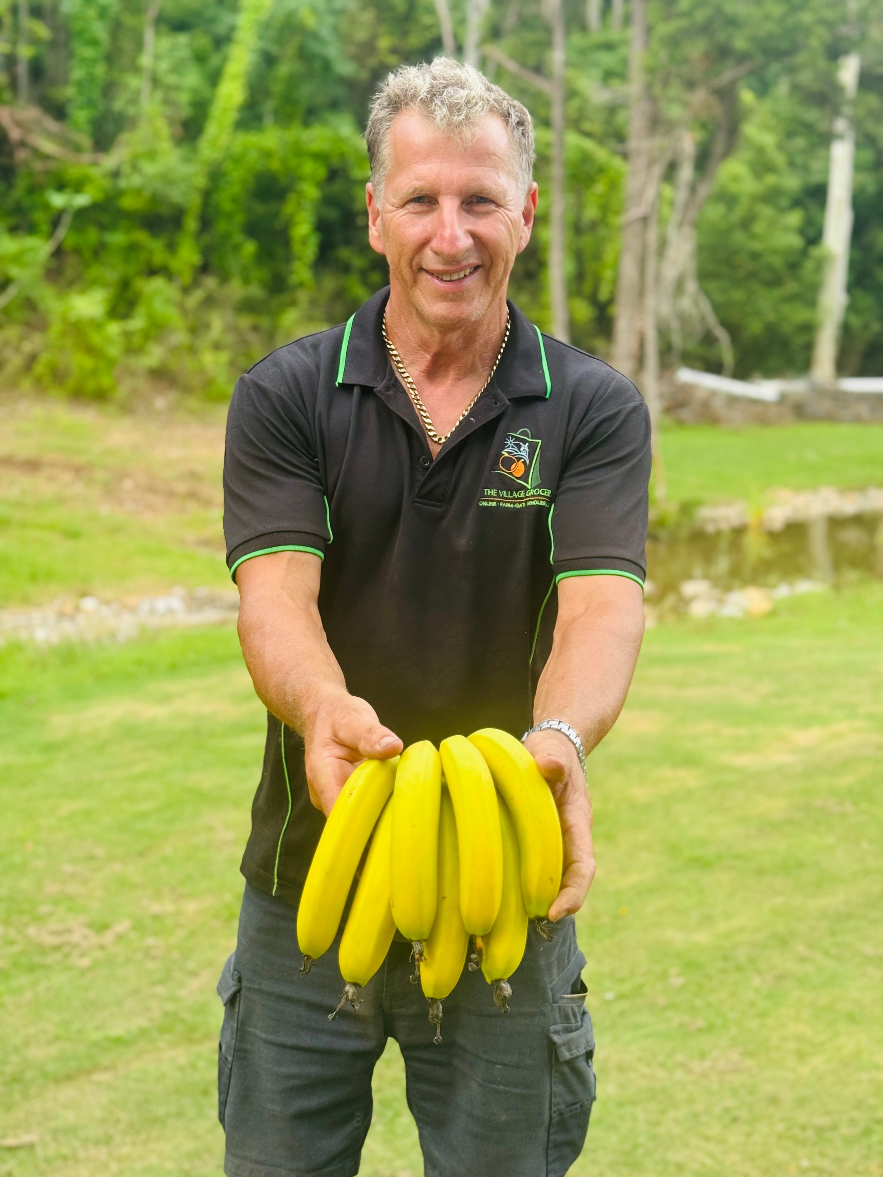 North QLD Premium Bananas – Sweet & Nutrient-Rich – The Village Grocer