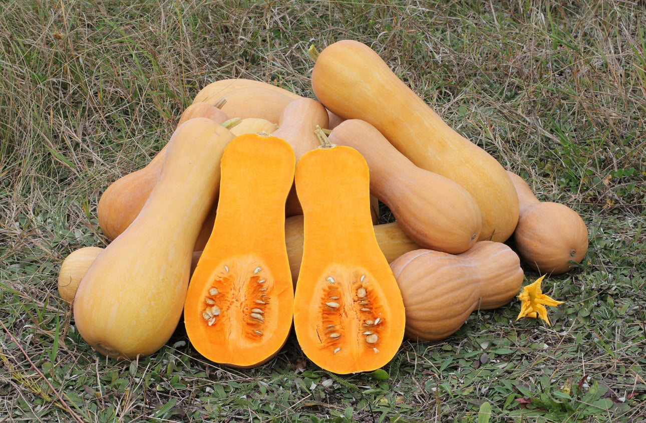 Fresh Butternut Pumpkin – Sweet & Creamy Texture – The Village Grocer