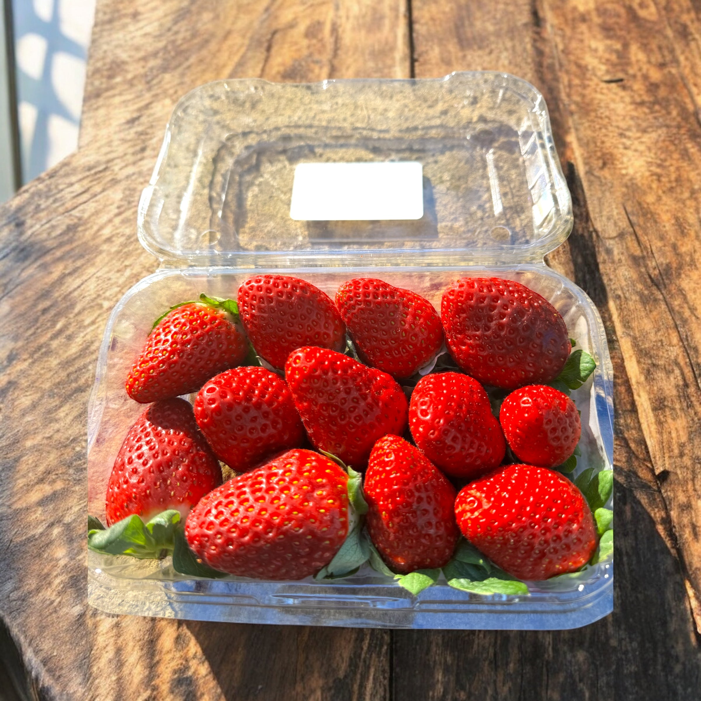 Queensland Strawberries – Fresh, Big & Sweet Berries – The Village Grocer